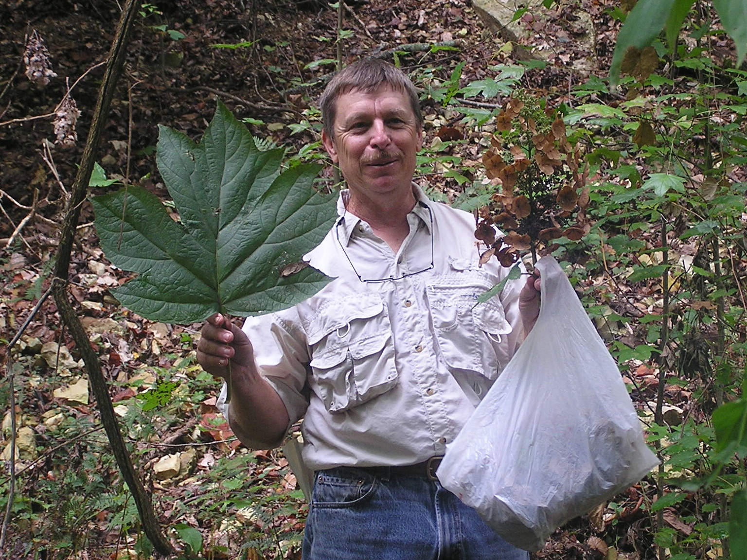 Contact – GREEN NURSERIES